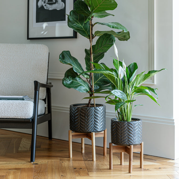 Indoor living pot, planter and basket collection - Ivyline