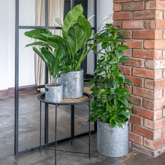 Indoor Christmas Tree Bucket with Star in Galvanised Steel – Ivyline