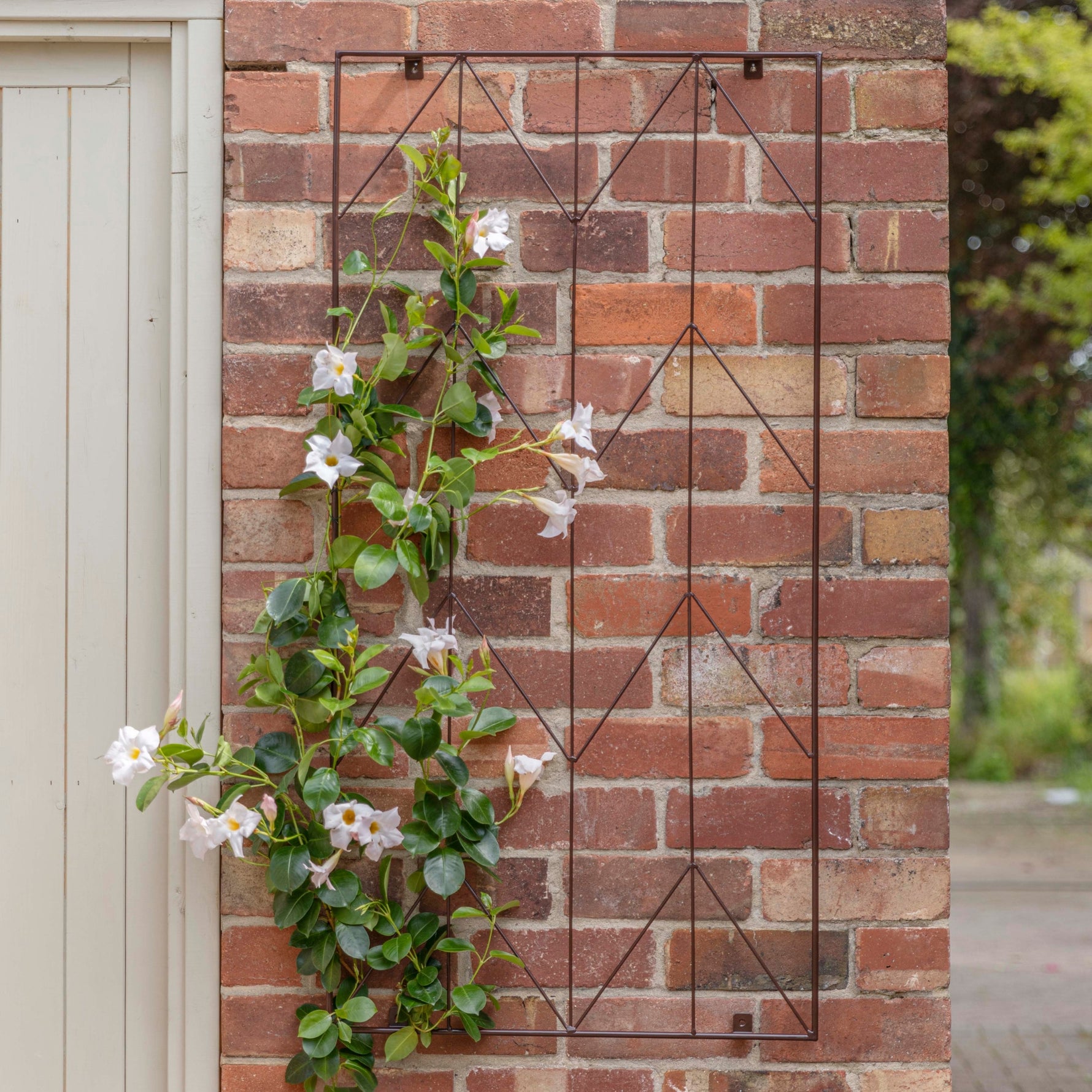 Outdoor Herringbone Trellis – Ivyline