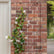 Outdoor Herringbone Trellis – Ivyline