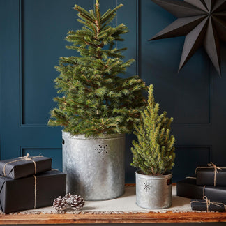 Indoor Christmas Tree Bucket with Star in Galvanised Steel – Ivyline